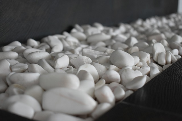 30+ Free Inside Sea & Inside Images - Pixabay
