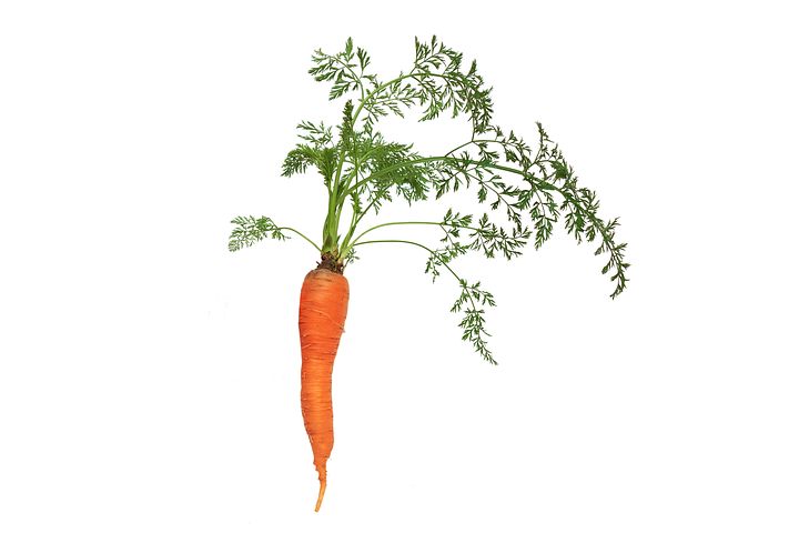 1,000+ Free Carrots & Vegetables Images