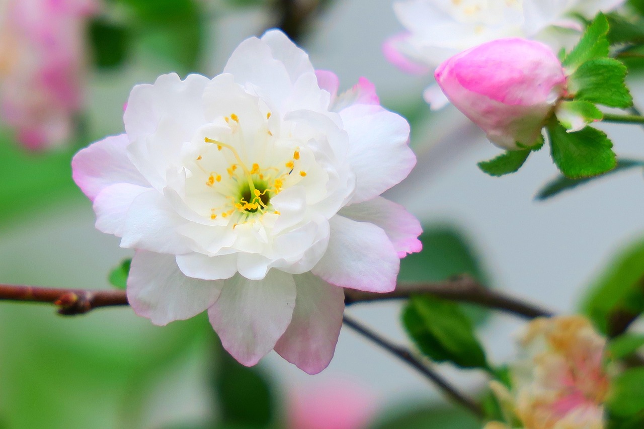 800+ Free Kindness & Kind Images - Pixabay
