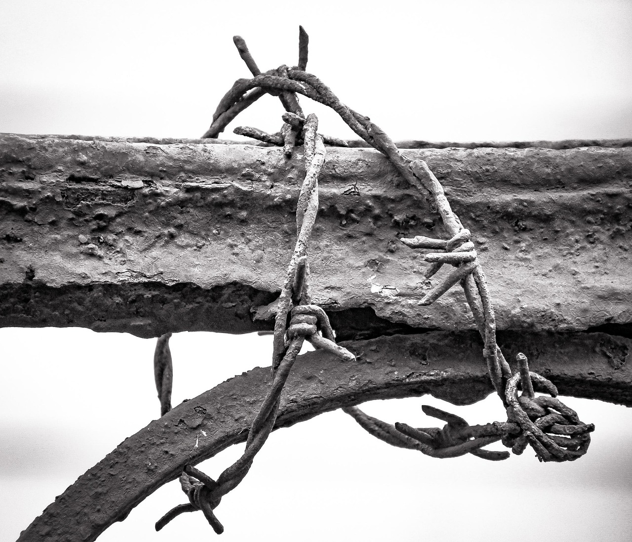 Metal Barbed Wire Rusted - Free photo on Pixabay - Pixabay