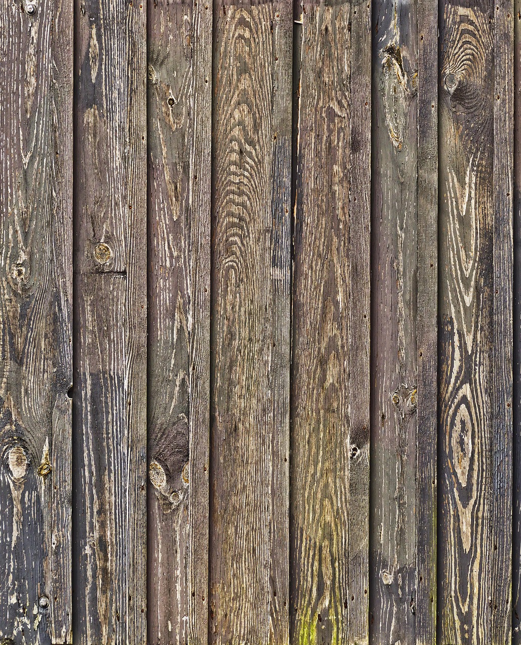 200+ kostenlose Holztexturen und Holztextur-Bilder - Pixabay