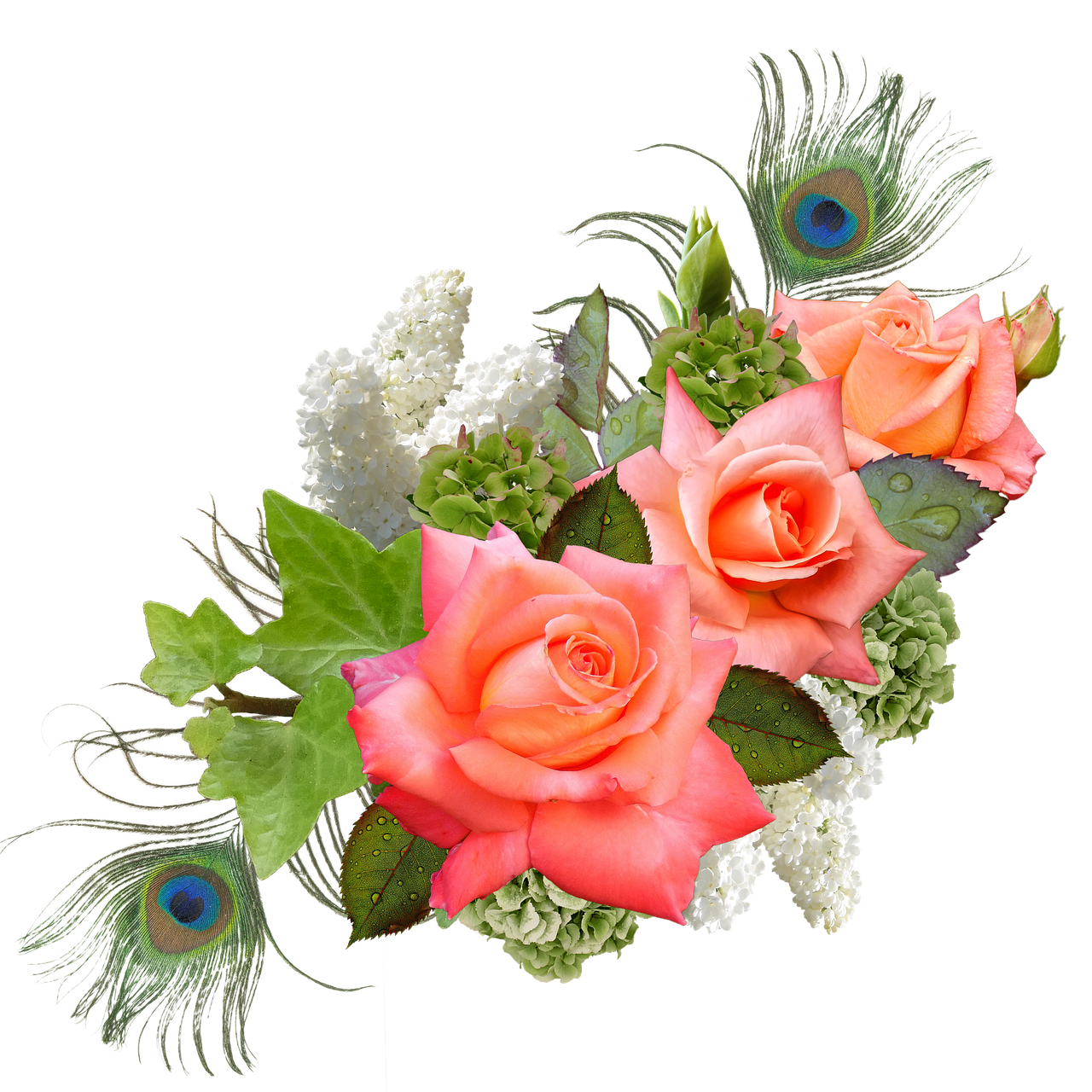 20,000+ Free Transparent Rose & Transparent Images - Pixabay