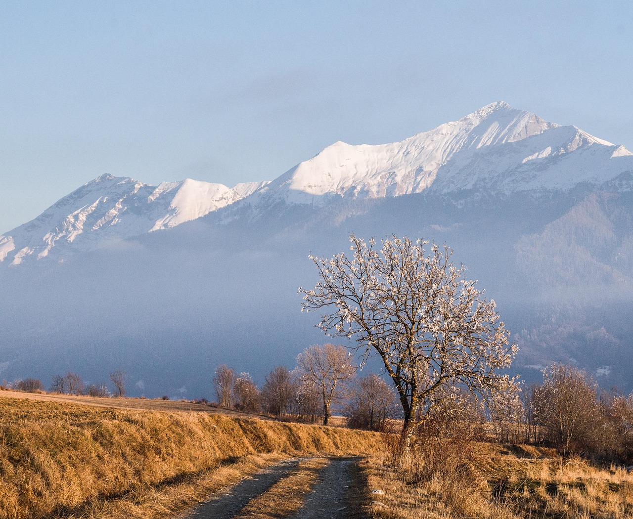 Neve Montanha Paisagem - Foto gratuita no Pixabay - Pixabay