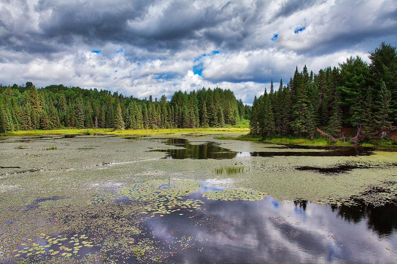 L'Eau Nature Paysage - Photo gratuite sur Pixabay - Pixabay