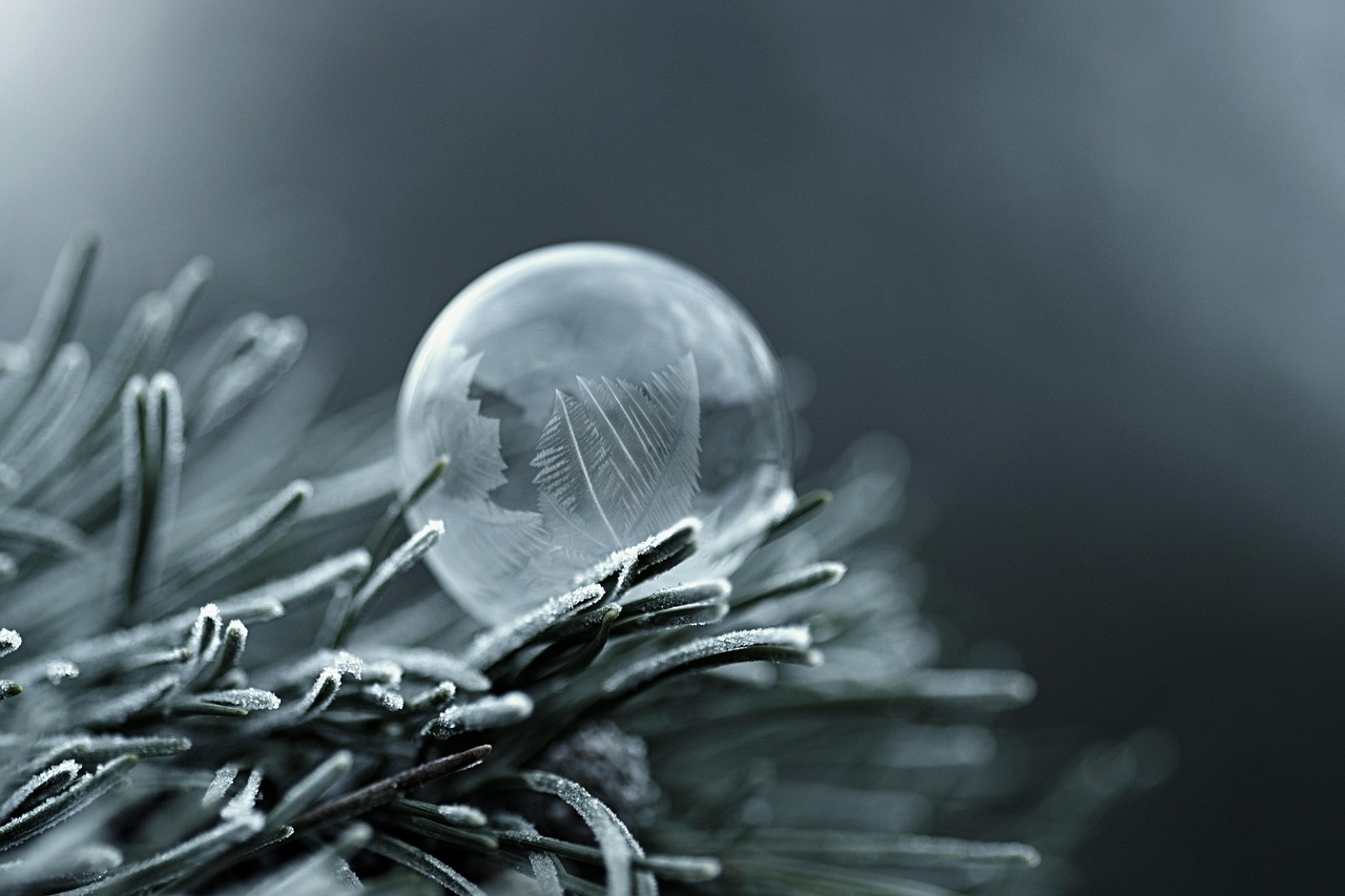 Frost Bubble Winter - Free photo on Pixabay - Pixabay