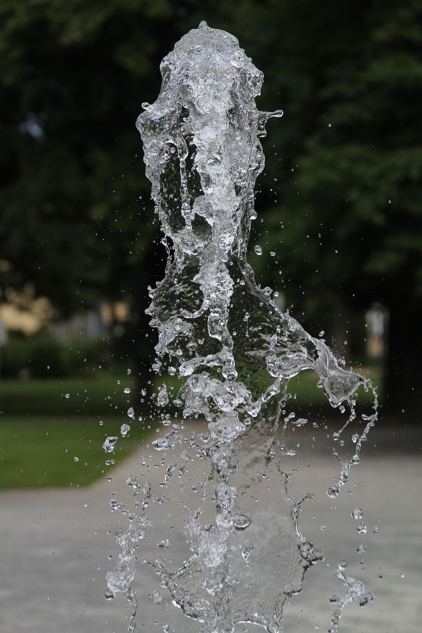 Mojado Naturaleza Agua - Foto gratis en Pixabay - Pixabay