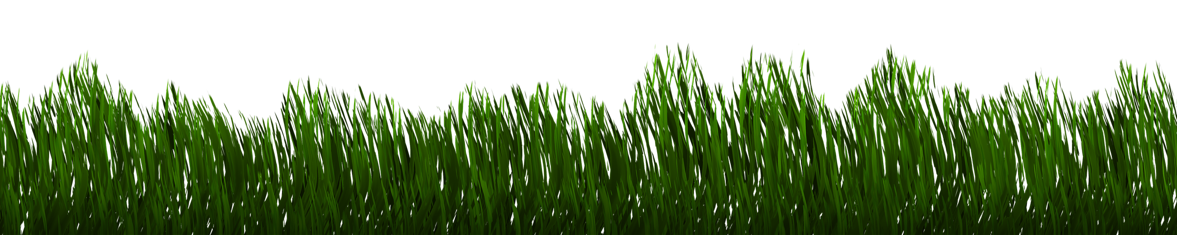 80+ Free Texture Grass & Texture Illustrations - Pixabay