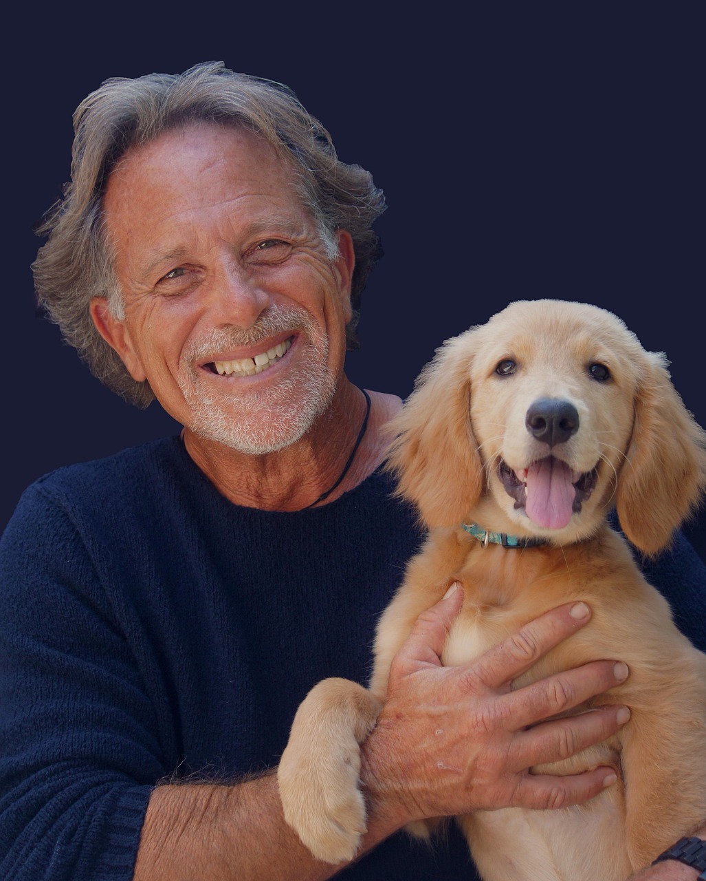 Retrato Perro Mascota - Foto gratis en Pixabay