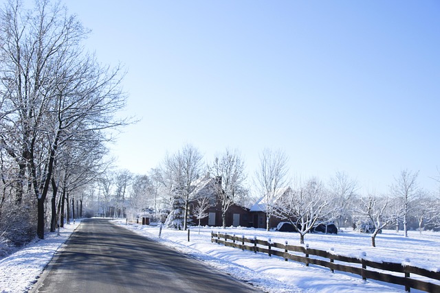 Hiver Neige Du Froid - Photo gratuite sur Pixabay - Pixabay
