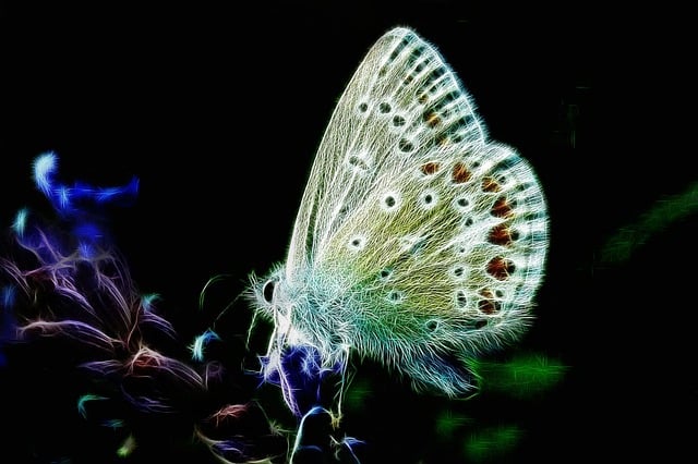 Explore 139+ Free Fractalius Illustrations: Download Now - Pixabay