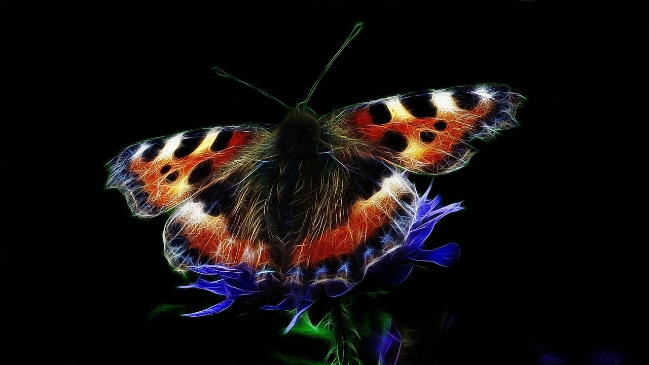 Fractalius Little Fox Nature - Free image on Pixabay