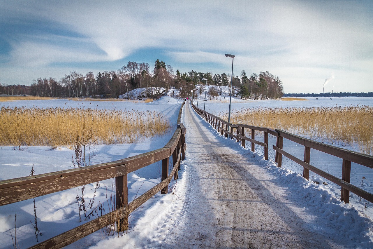Snow Winter Outside - Free photo on Pixabay - Pixabay
