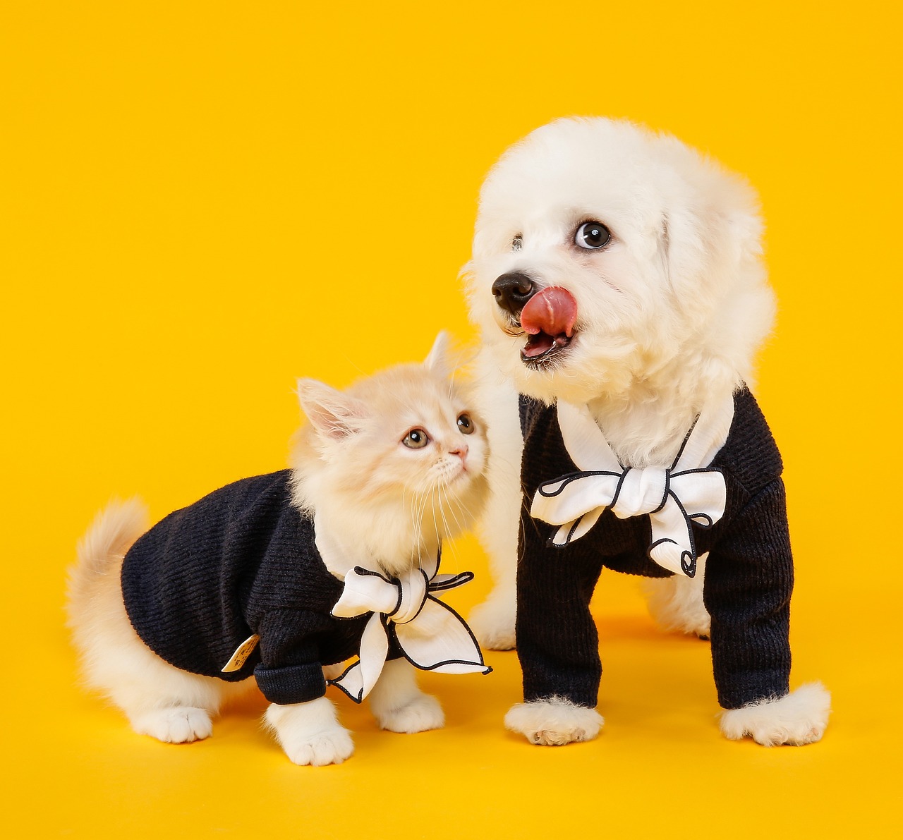 20,000+ Free Cute Jelly & Jam Images - Pixabay