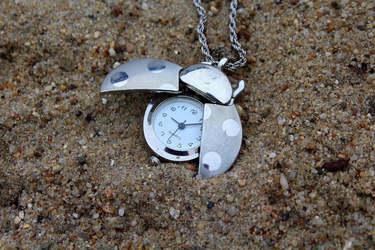 Plus de 30 000 images de Le Temps Qui Passe et de Temps - Pixabay