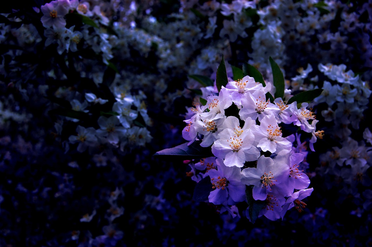 400+ Free Any Questions? & Question Mark Images - Pixabay