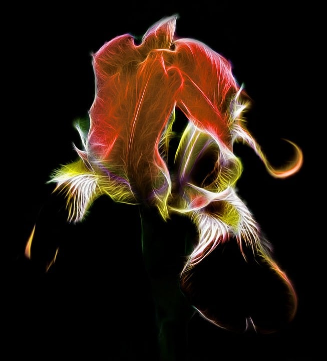 Fractalius - ภาพฟรีบน Pixabay