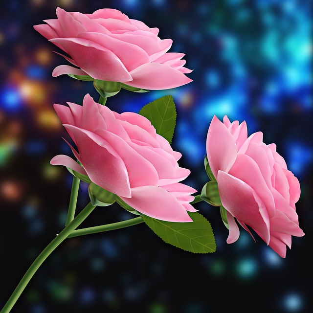 La Nature Fleur Pétale - Image gratuite sur Pixabay - Pixabay