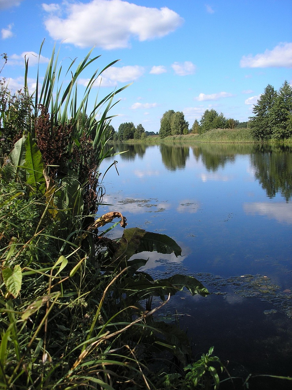 Water Nature Lake - Free photo on Pixabay - Pixabay