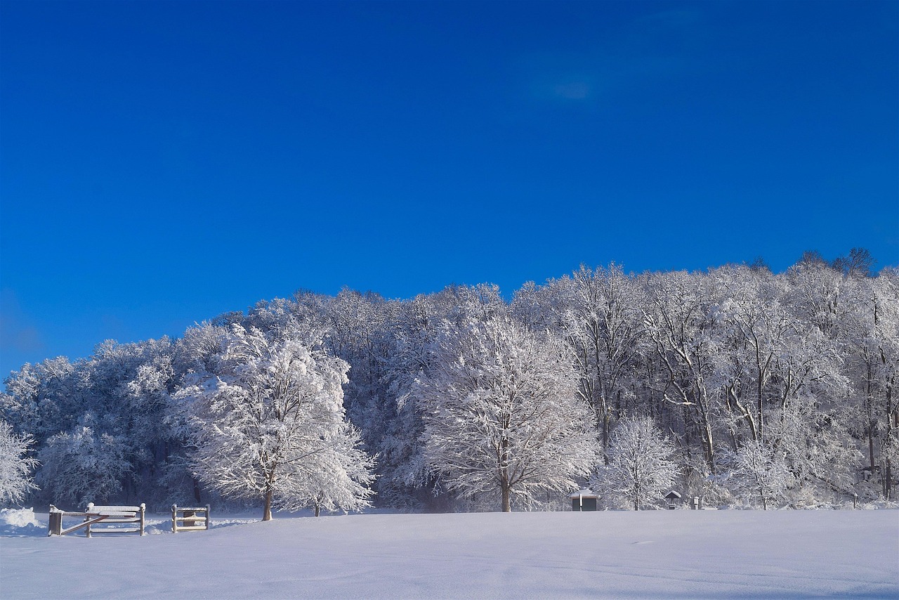 Landscape Snow Winter - Free photo on Pixabay - Pixabay