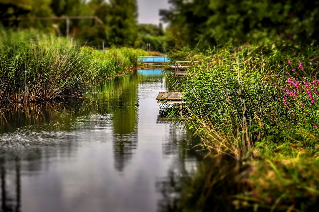 Water Nature Reflection - Free photo on Pixabay - Pixabay