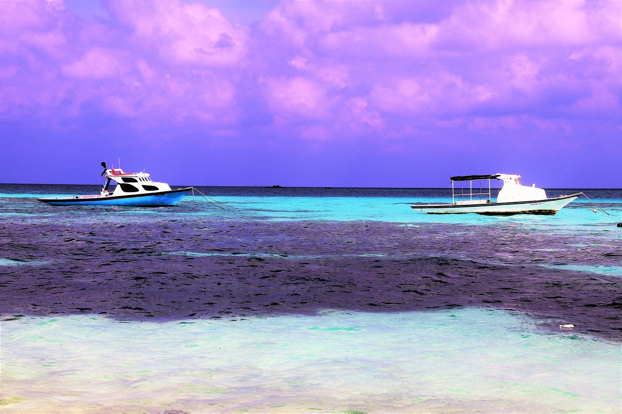 Maldives Fabulous Colors Ocean - Free photo on Pixabay - Pixabay