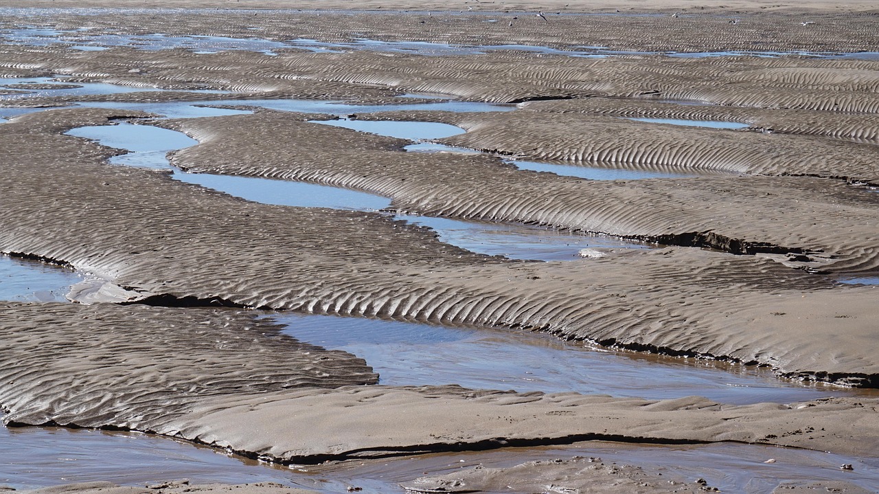 Cuerpo De Agua Sal Naturaleza - Foto gratis en Pixabay - Pixabay