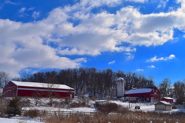 Winter Farm Snow - Free photo on Pixabay