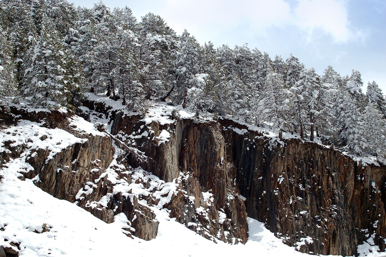 Neve Inverno Frio - Foto gratuita no Pixabay - Pixabay