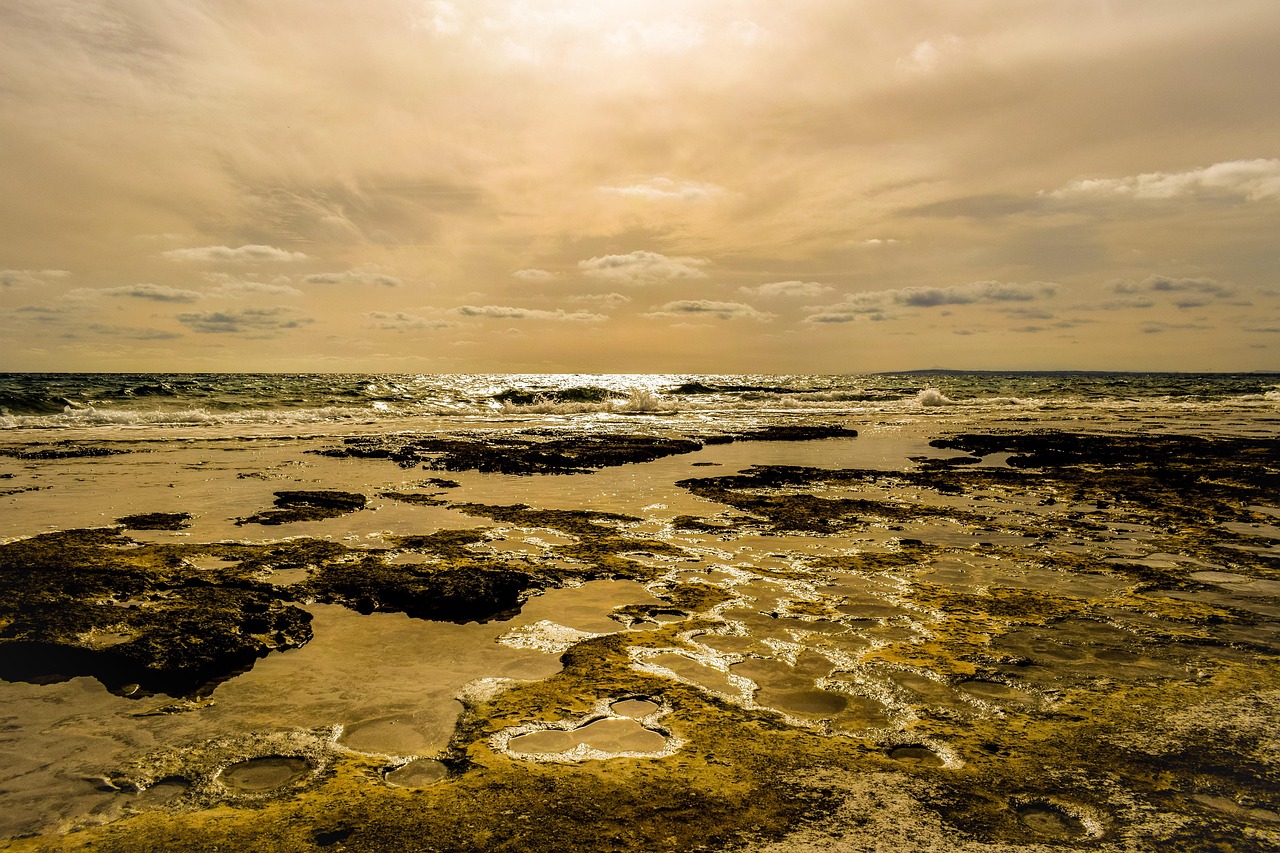 Sea Seashore Beach - Free photo on Pixabay - Pixabay