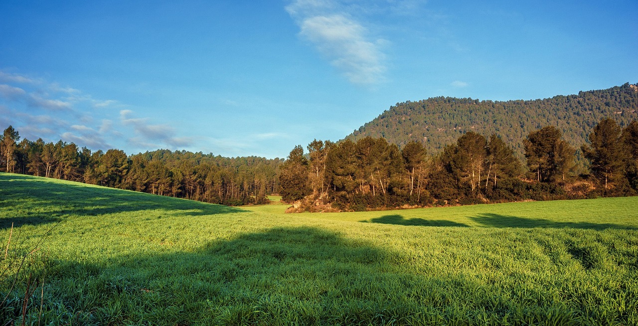 Grass Nature Landscape - Free photo on Pixabay
