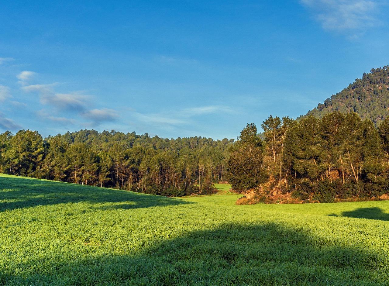 Grass Nature Landscape - Free photo on Pixabay - Pixabay