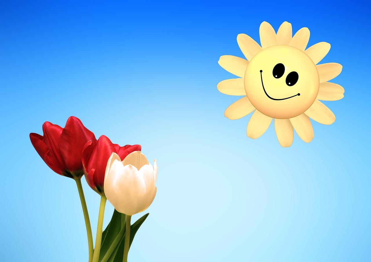 Tulips Red White - Free photo on Pixabay