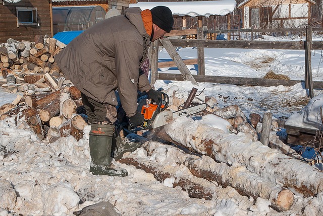 Siberia Irkutsk Lumberjack Chain - Free photo on Pixabay