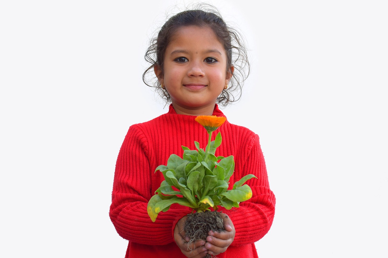 Plant Kid Nature - Free photo on Pixabay - Pixabay