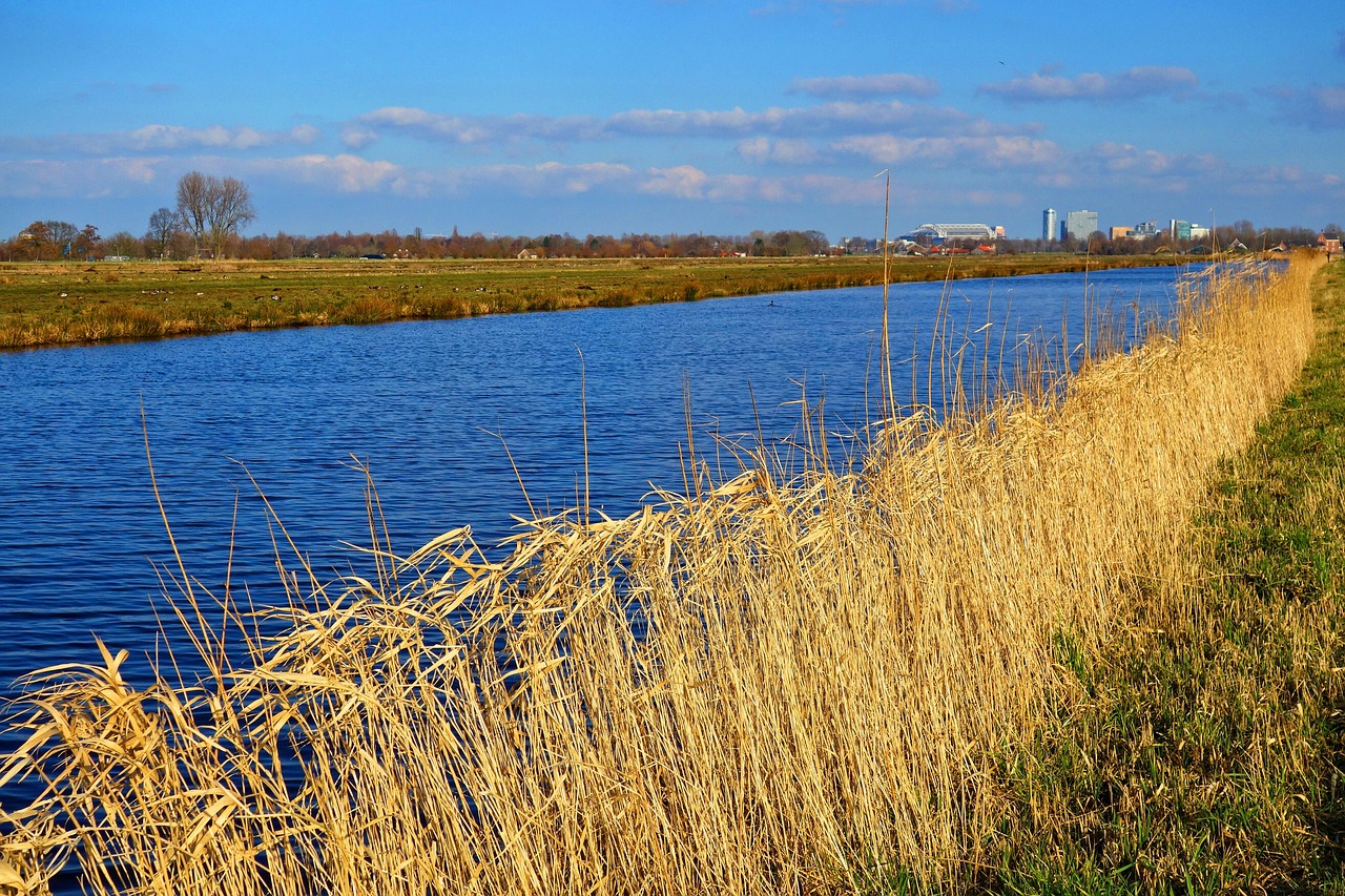 Canal Waterway Shore - Free photo on Pixabay