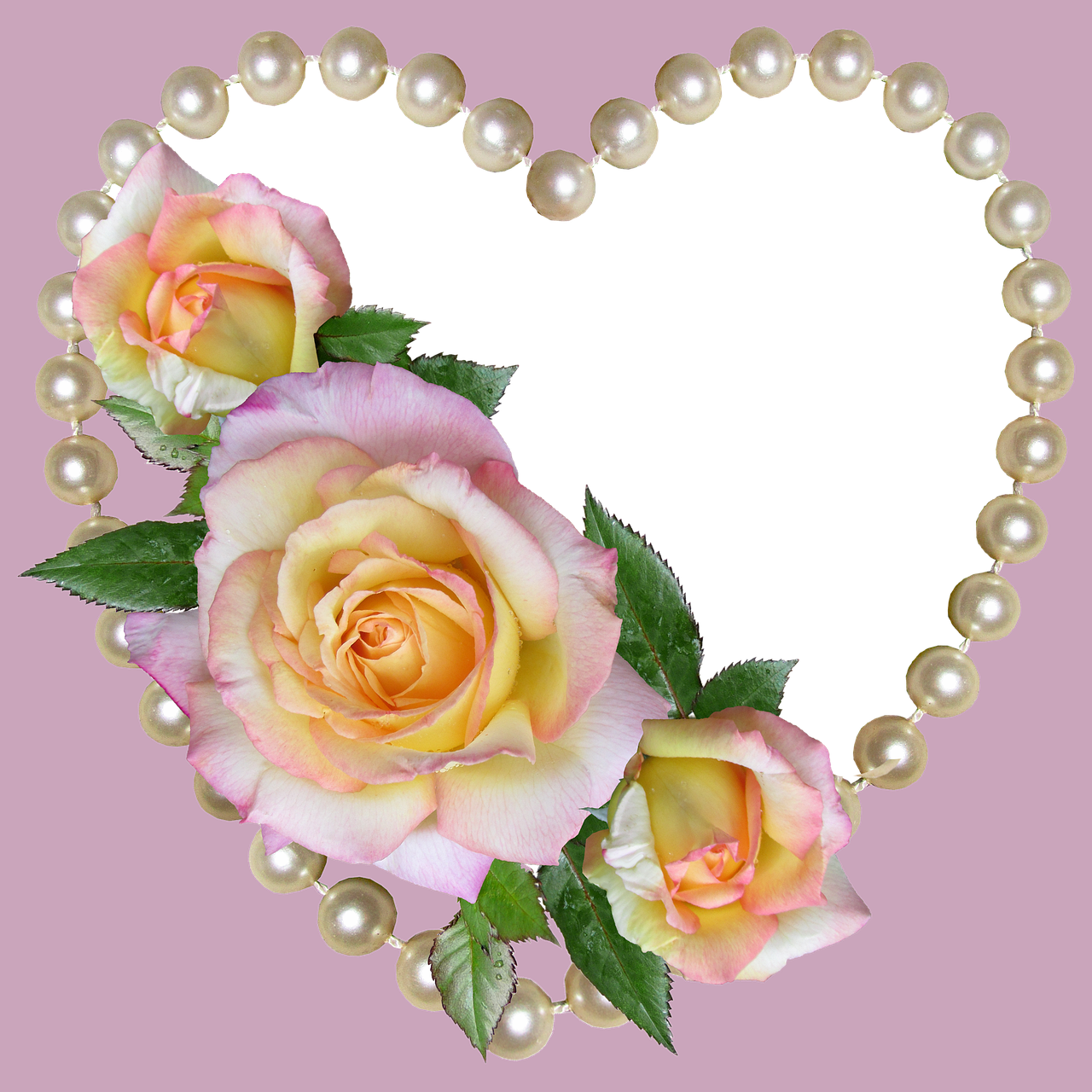 Roses Decoration Greeting Card - Free photo on Pixabay