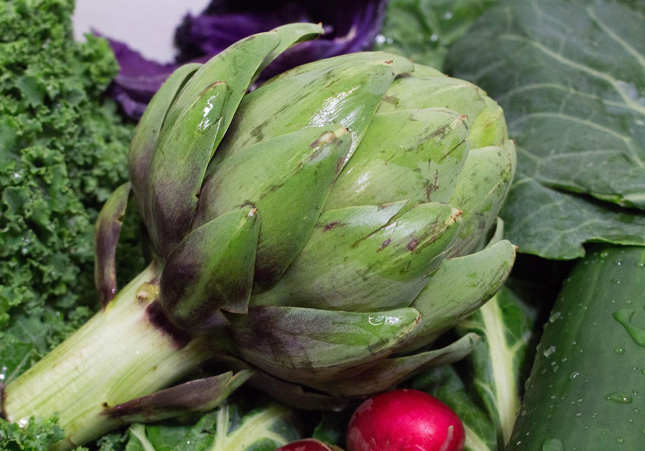 Makanan Sayur-Mayur Tumbuh - Foto gratis di Pixabay - Pixabay