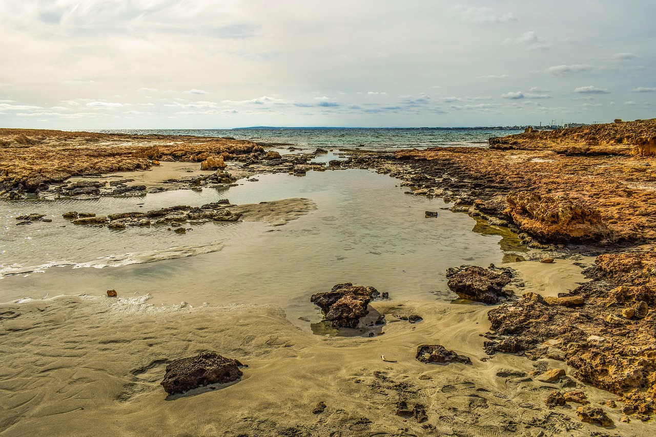 Rocky Coast Seashore Sea - Free photo on Pixabay - Pixabay