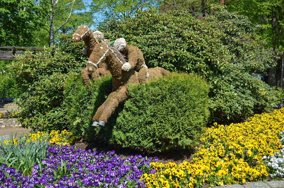 Natur Pflanze Garten - Kostenloses Foto auf Pixabay - Pixabay