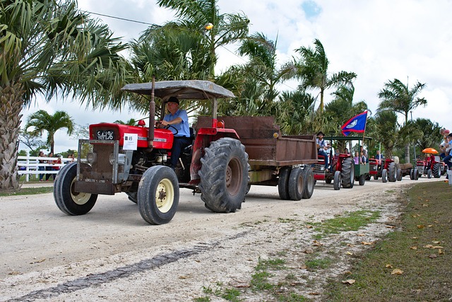 Parade Belize Farming Community - Free photo on Pixabay - Pixabay