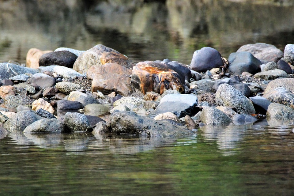Water Nature River - Free photo on Pixabay