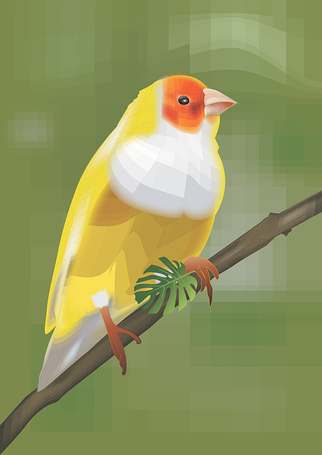 Hewan Burung Kuning - Gambar vektor gratis di Pixabay - Pixabay