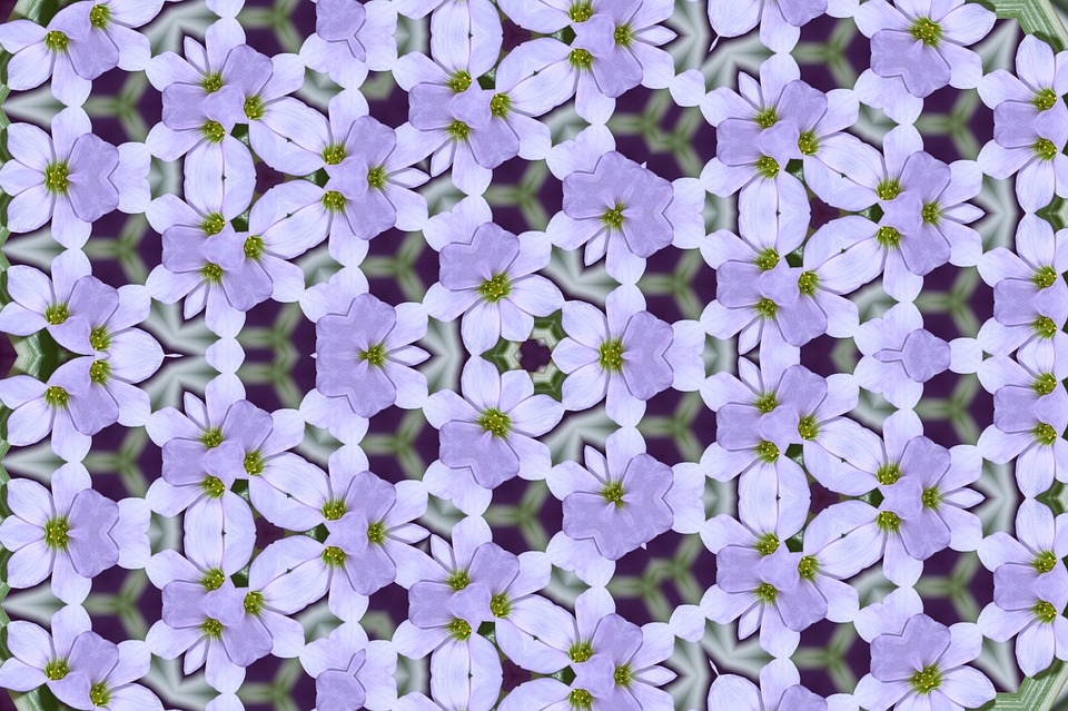 Fleur Floral Pétale - Image gratuite sur Pixabay - Pixabay