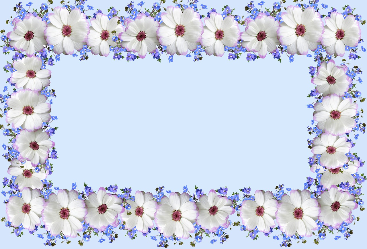 400,000+ Free Flower Base & Flower Images - Pixabay