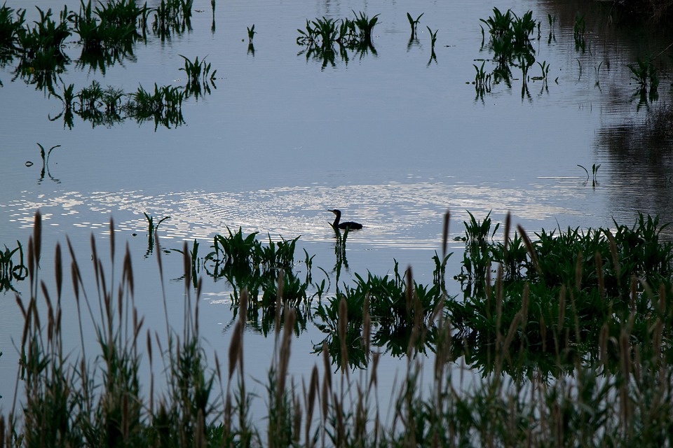 Body Of Water Nature Lake - Free photo on Pixabay