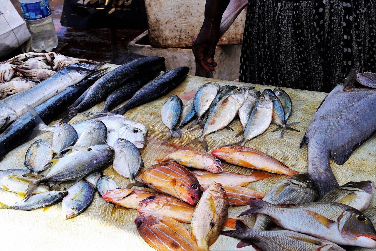 Pasar Ikan Makanan Laut - Foto gratis di Pixabay - Pixabay