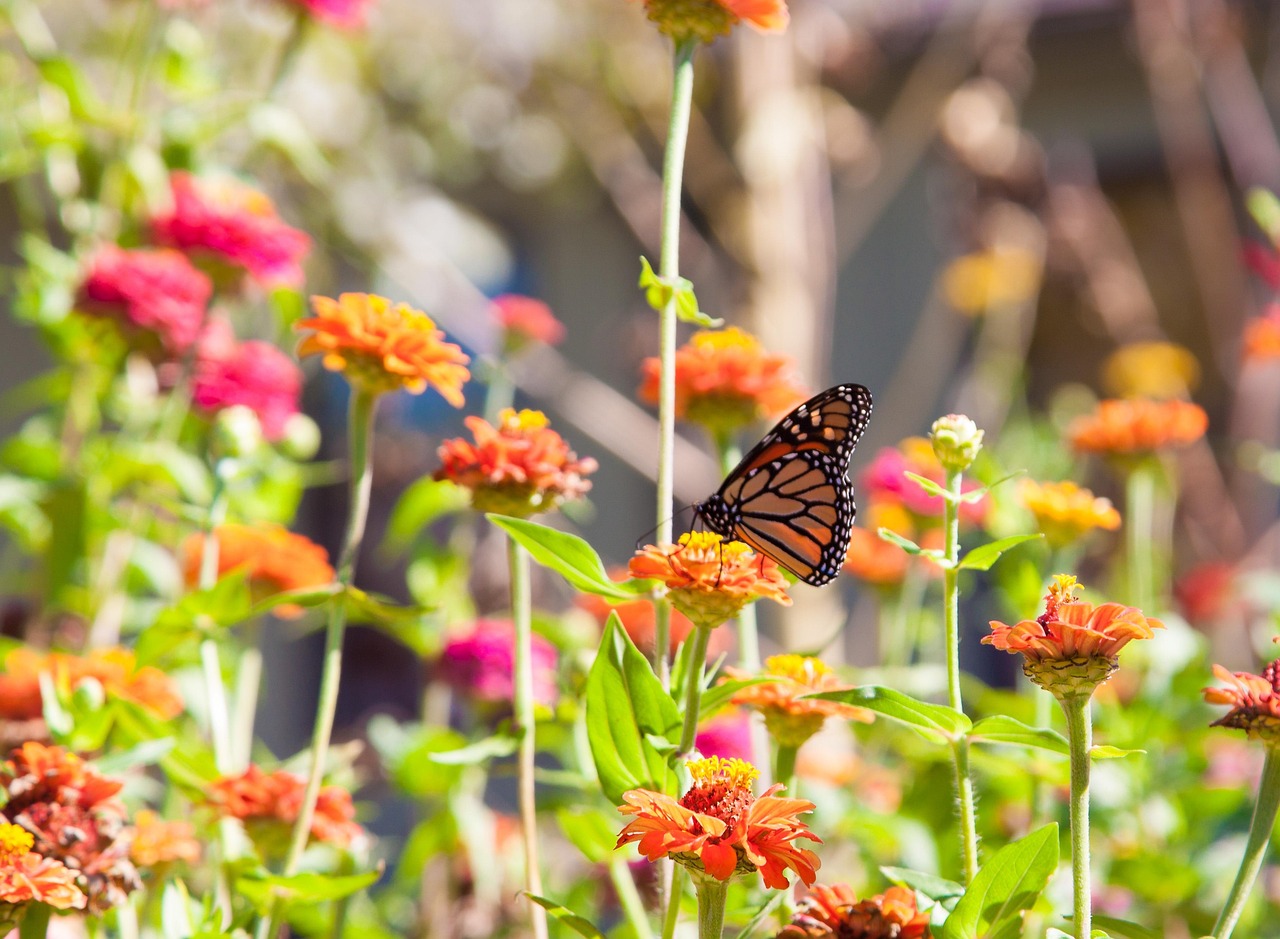 Naturaleza Flor Flora - Foto gratis en Pixabay - Pixabay