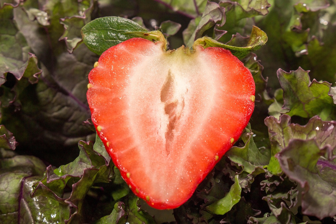 Fraise Aliments Fruit - Photo gratuite sur Pixabay - Pixabay