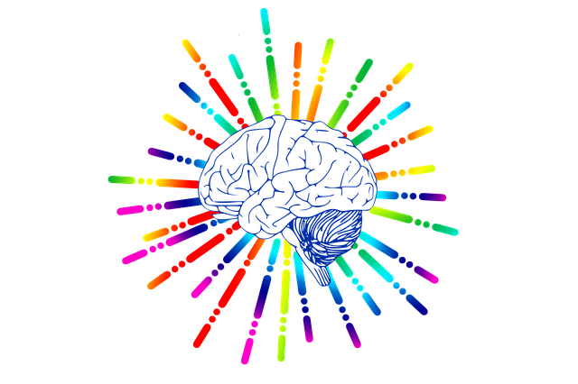 Page 13 - Explore 3,770+ Free Brain Illustrations: Download Now - Pixabay