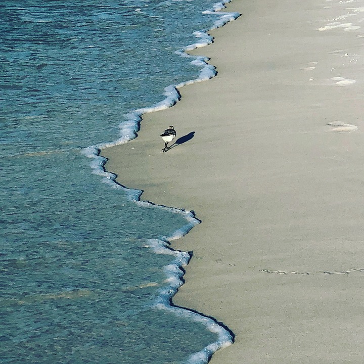 Wasser Strand Meer - Kostenloses Foto auf Pixabay - Pixabay